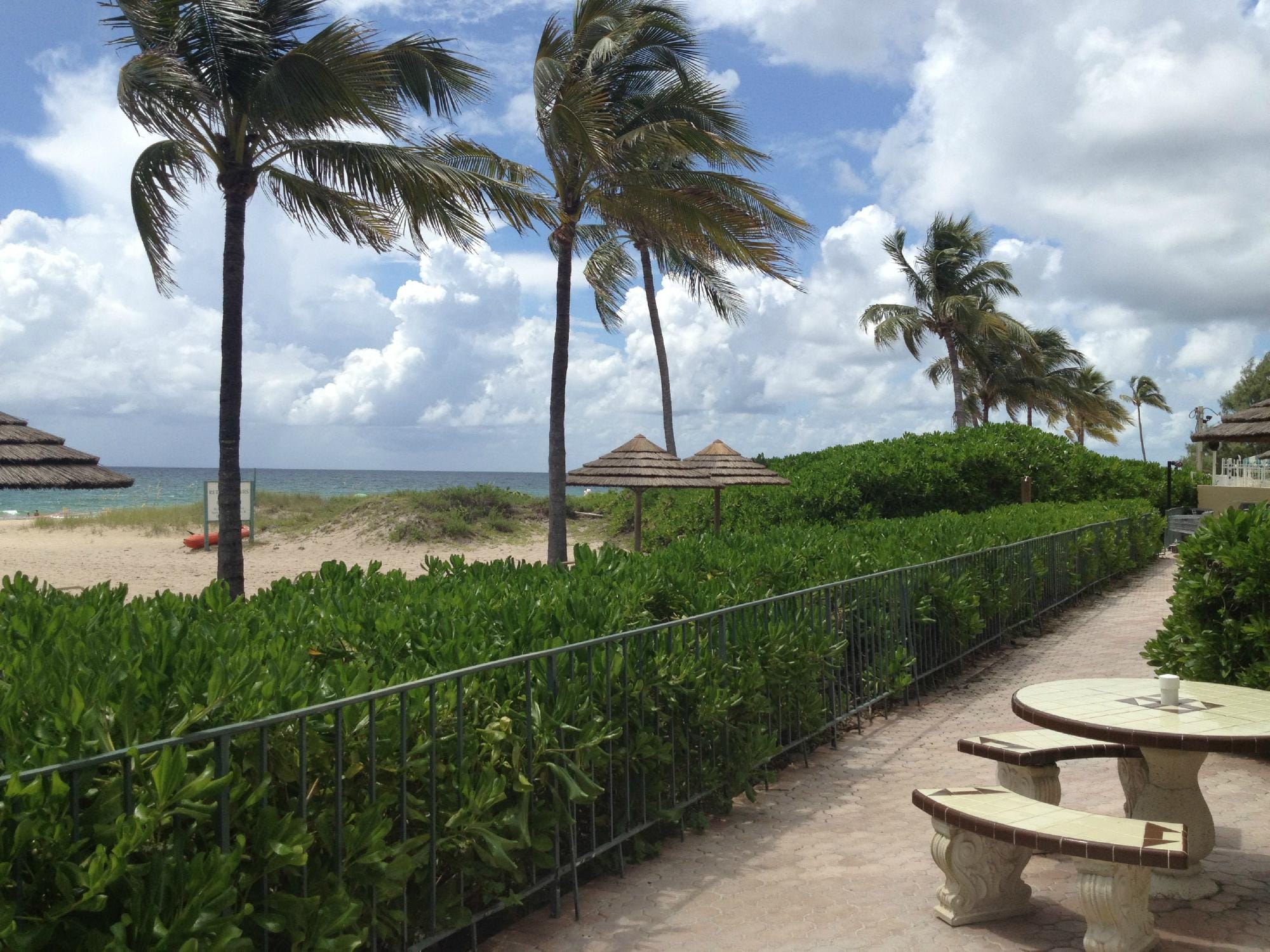 Native Sun | Pompano Beach Resort - Fidelity Real Estate