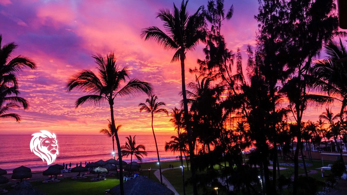 Everything You Need to Know About Vacation Internationale - Fidelity ...