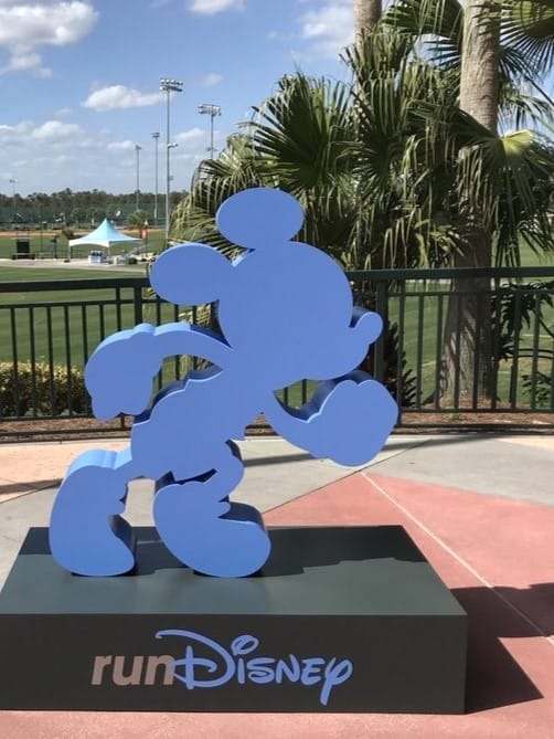 Disney World Marathon and Run Disney Events: Ultimate Guide - Fidelity ...